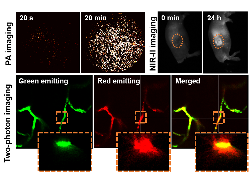 Home [www.paomtek.com]